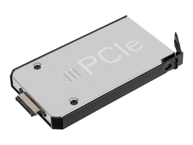 Getac - SSD - 256 GB - hot-swap - PCIe - with canister GSSEX7