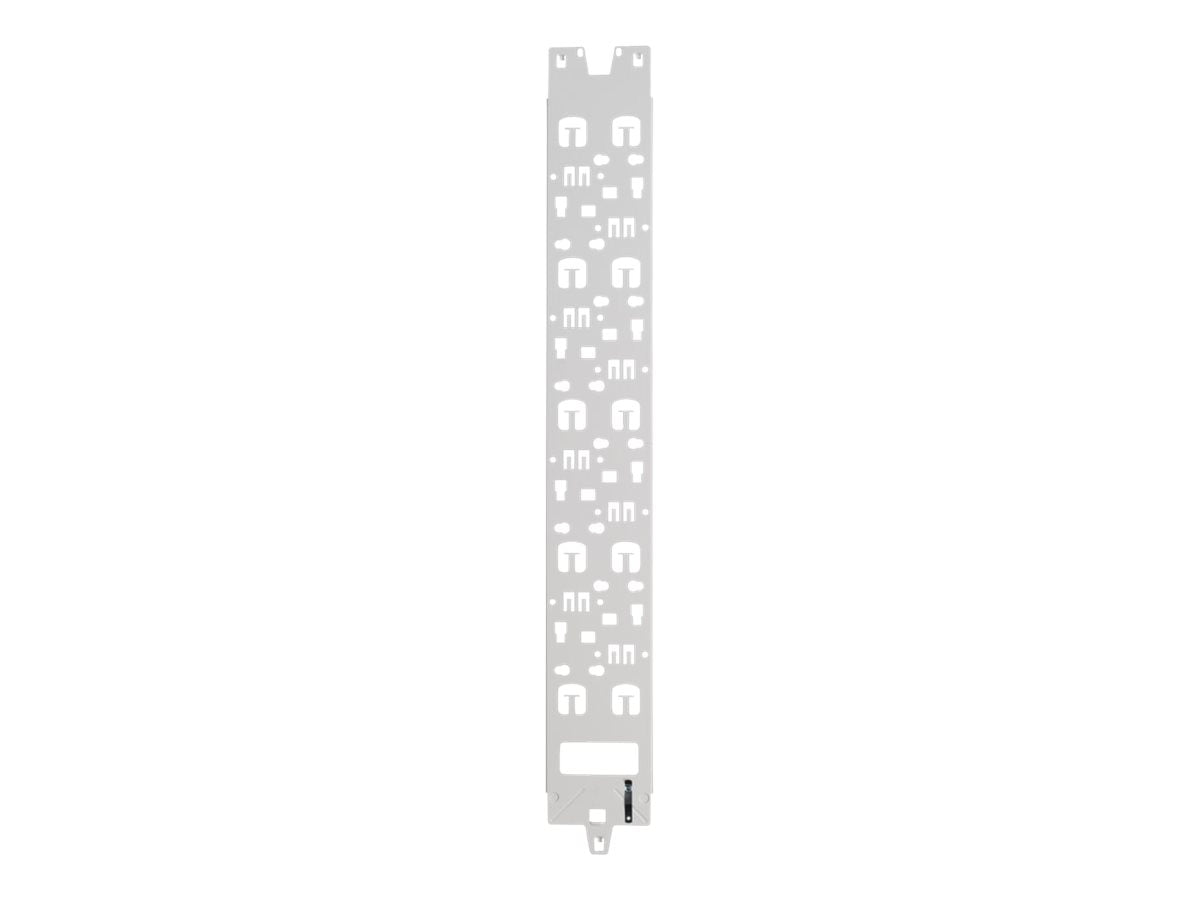 Panduit FlexFusion - Rack cable management panel (vertical) - white