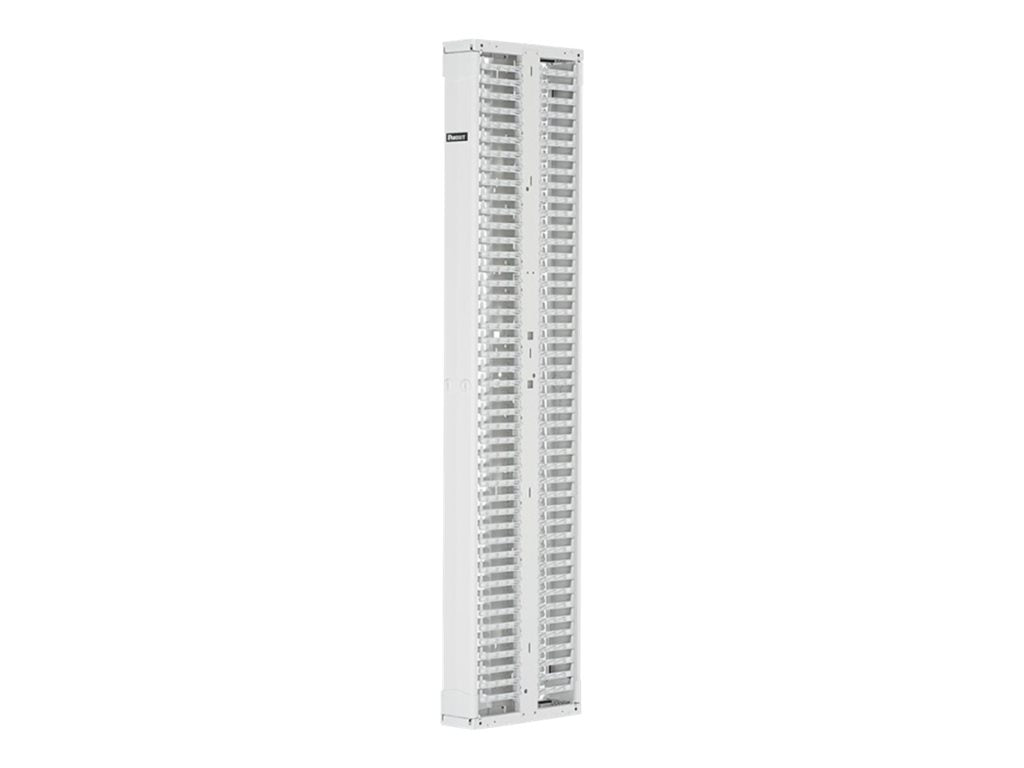 Panduit PatchRunner 2 Dual Sided Manager - Rack cable management panel