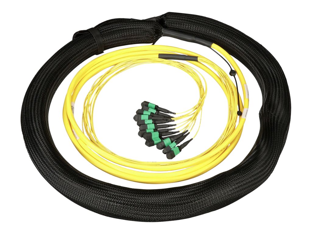 Panduit QuickNet - Trunk cable - MPO-12/APC single-mode (F) 1 m breako