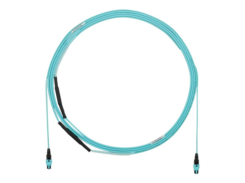Panduit - Trunk cable - PanMPO multi-mode (F) to PanMPO multi-mode (F)