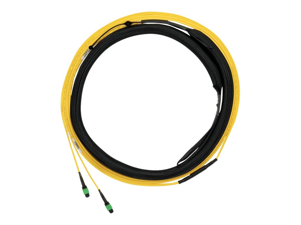 Panduit - Trunk cable - PanMPO single-mode (F) to PanMPO single-mode