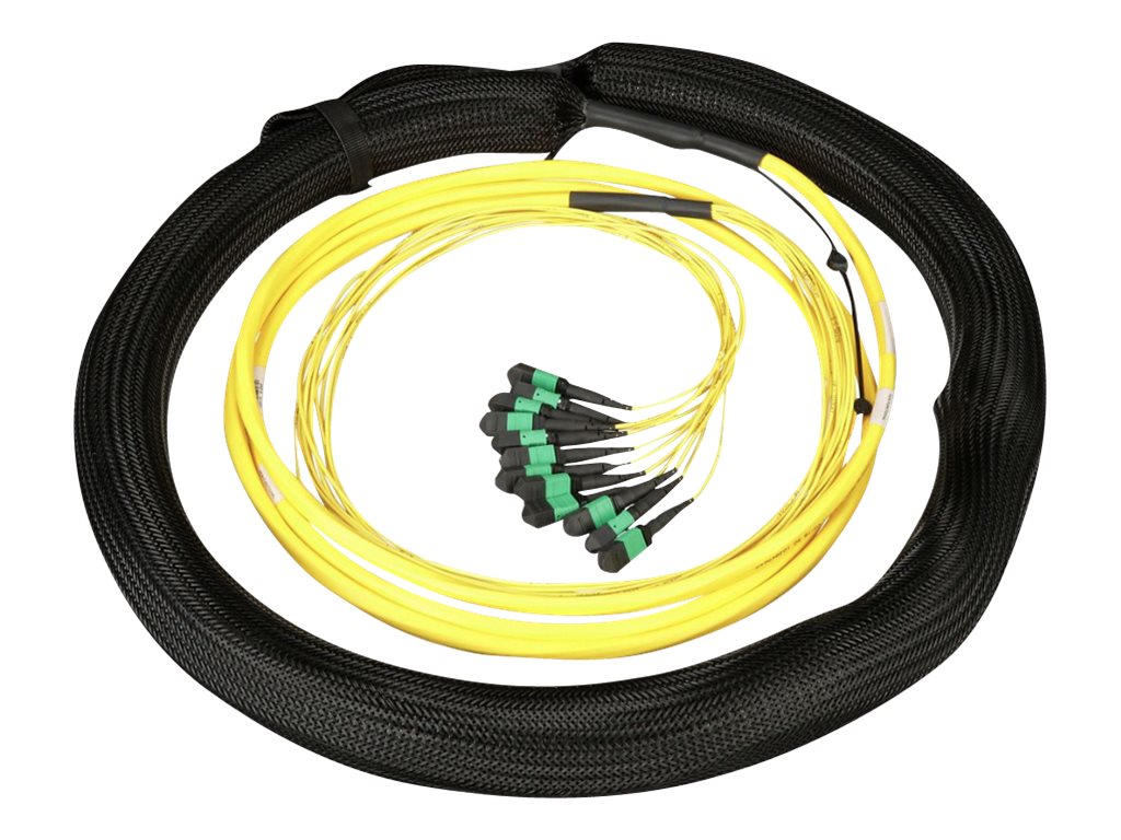 Panduit - Trunk cable - PanMPO single-mode (F) to PanMPO single-mode